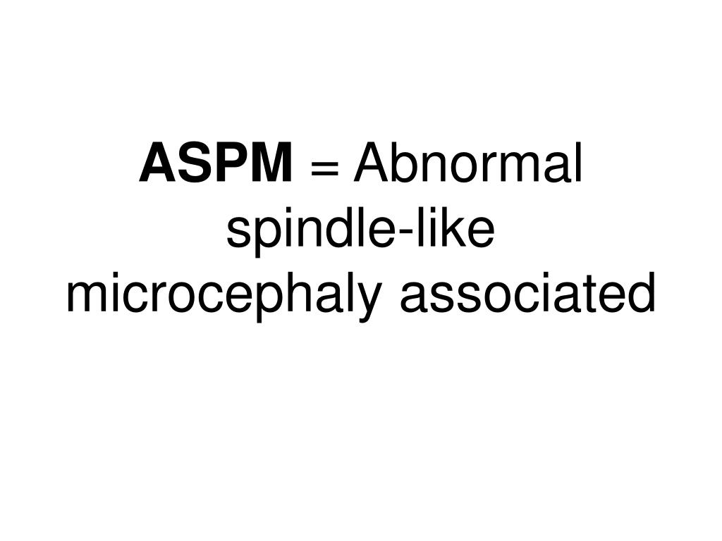 PPT - Paleoneurológia (hominidák fejlődésláncolata) PowerPoint ...