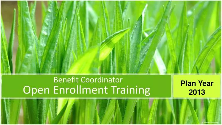 PPT - Open Enrollment Training PowerPoint Presentation, free download ...