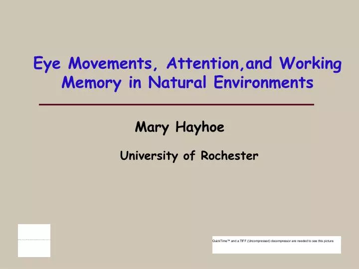 PPT - Eye Movements, Attention,and Working Memory in Natural ...