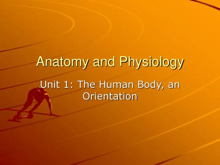 PPT - Anatomy and Physiology PowerPoint Presentation, free download ...