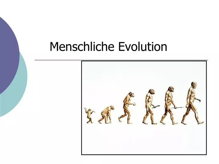 PPT - Menschliche Evolution PowerPoint Presentation, free download - ID ...