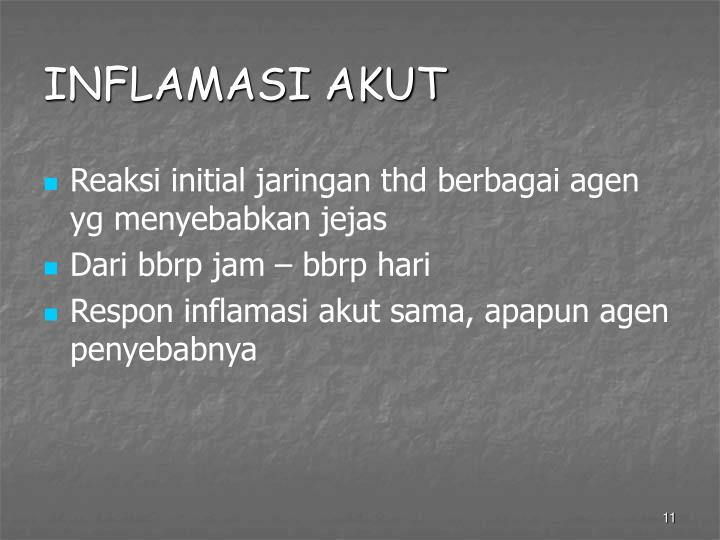 PPT - RESPON INFLAMASI (KP. 2.1.27) PowerPoint Presentation - ID:4580455