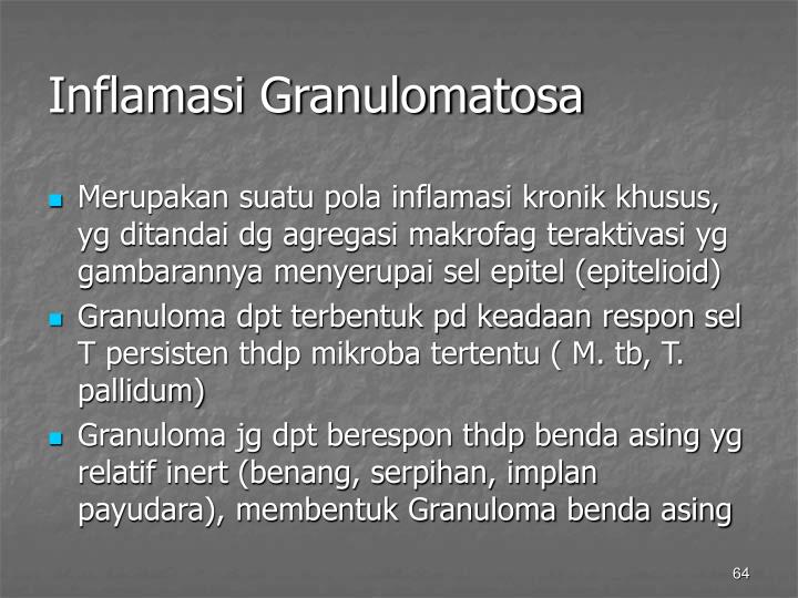 PPT - RESPON INFLAMASI (KP. 2.1.27) PowerPoint Presentation - ID:4580455
