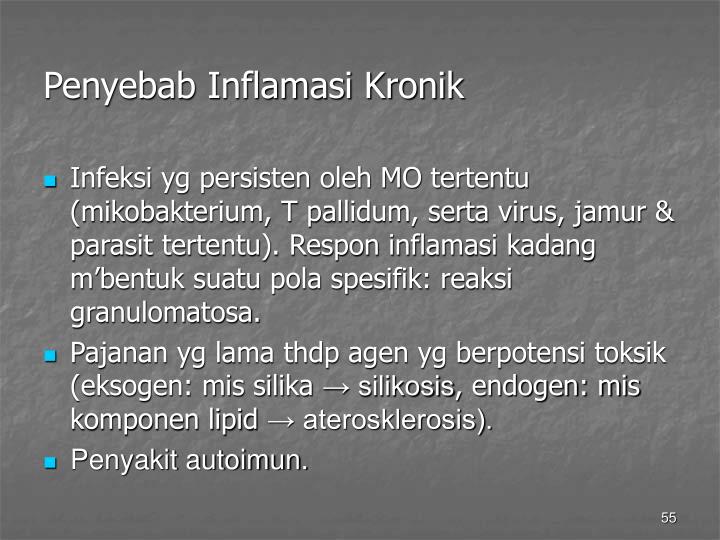 PPT - RESPON INFLAMASI (KP. 2.1.27) PowerPoint Presentation - ID:4580455