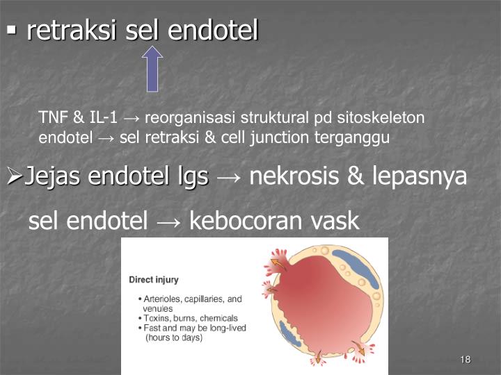 PPT - RESPON INFLAMASI (KP. 2.1.27) PowerPoint Presentation - ID:4580455