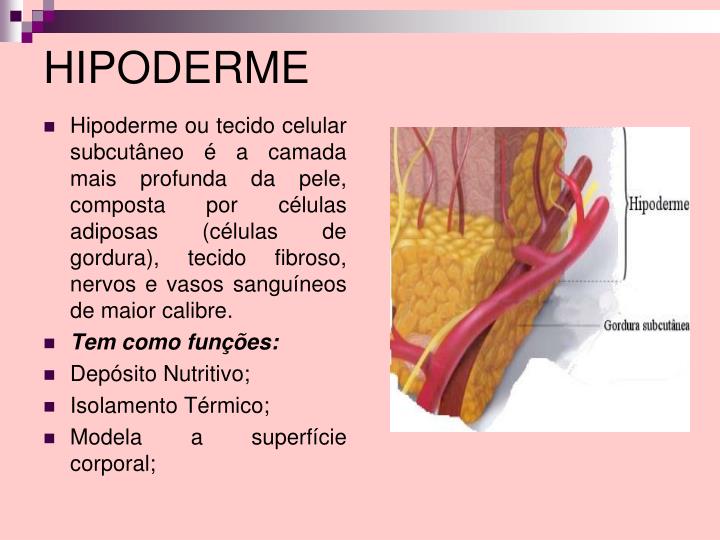 PPT - Hidratação Facial PowerPoint Presentation - ID:4580657