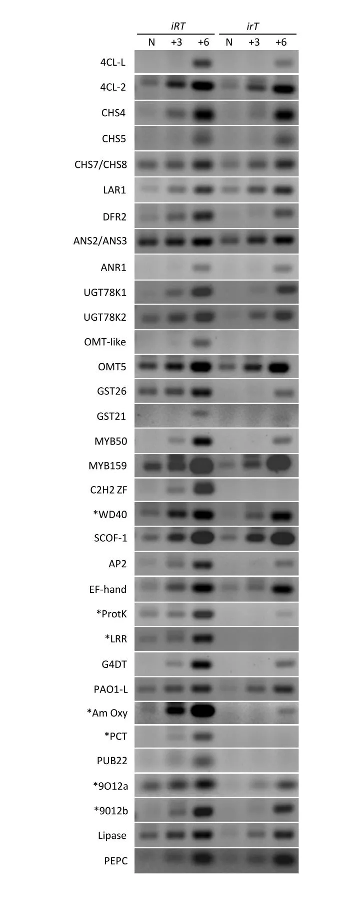 PPT - PEPC PowerPoint Presentation, free download - ID:4581404