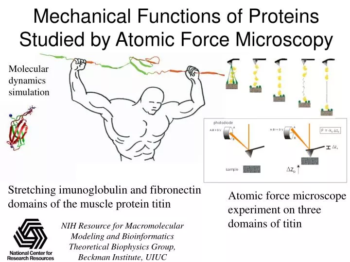 PPT - Mechanical Functions of Proteins Studied by Atomic Force ...