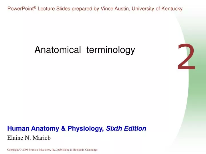 PPT - Anatomical terminology PowerPoint Presentation, free download ...