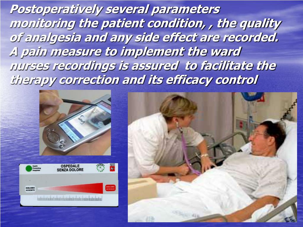 PPT - ROLE OF A DEDICATED PAIN -NURSE IN THE PAIN FREE HOSPITAL PROJECT ...