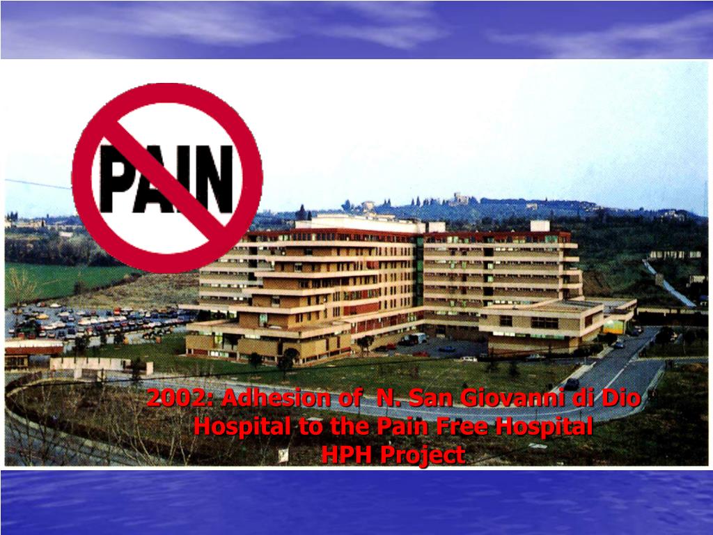 PPT - ROLE OF A DEDICATED PAIN -NURSE IN THE PAIN FREE HOSPITAL PROJECT ...