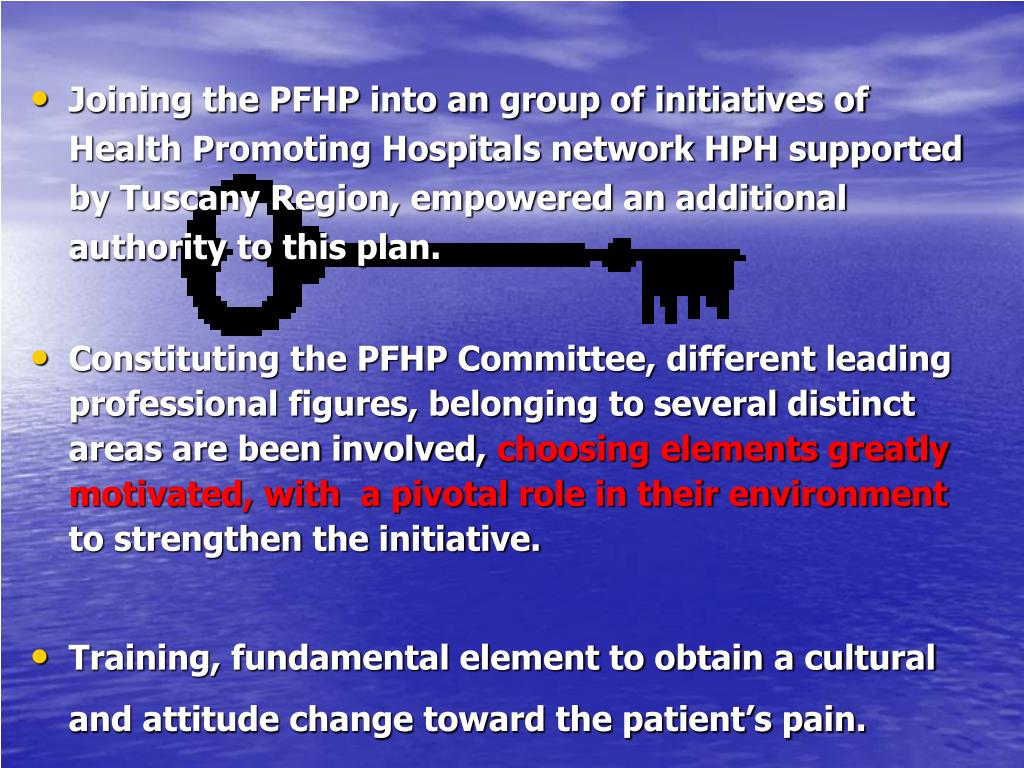 PPT - ROLE OF A DEDICATED PAIN -NURSE IN THE PAIN FREE HOSPITAL PROJECT ...