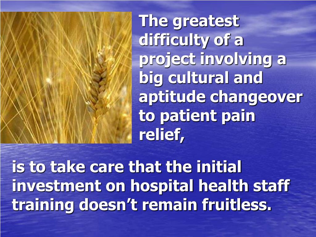 PPT - ROLE OF A DEDICATED PAIN -NURSE IN THE PAIN FREE HOSPITAL PROJECT ...