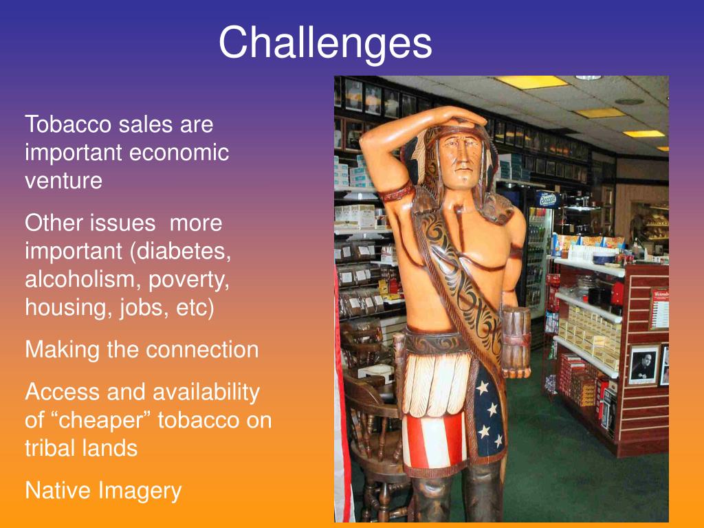 PPT - Nicole (CoCo) Toves Villaluz Hidatsa/Assiniboine/Chamorro ClearWay Minnesota SM PowerPoint ...