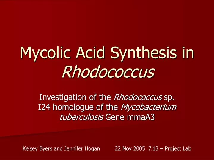 PPT - Mycolic Acid Synthesis in Rhodococcus PowerPoint Presentation ...