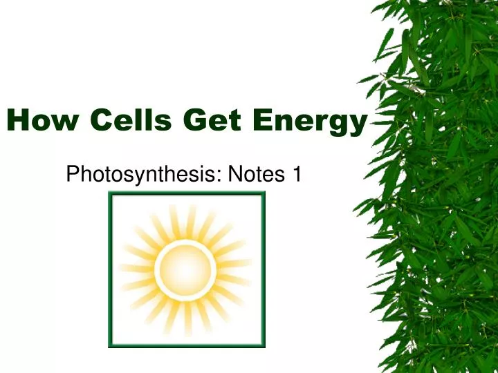 PPT - How Cells Get Energy PowerPoint Presentation, free download - ID ...
