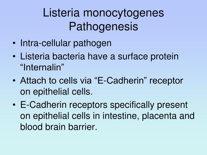 PPT - Listeria PowerPoint Presentation - ID:4585422