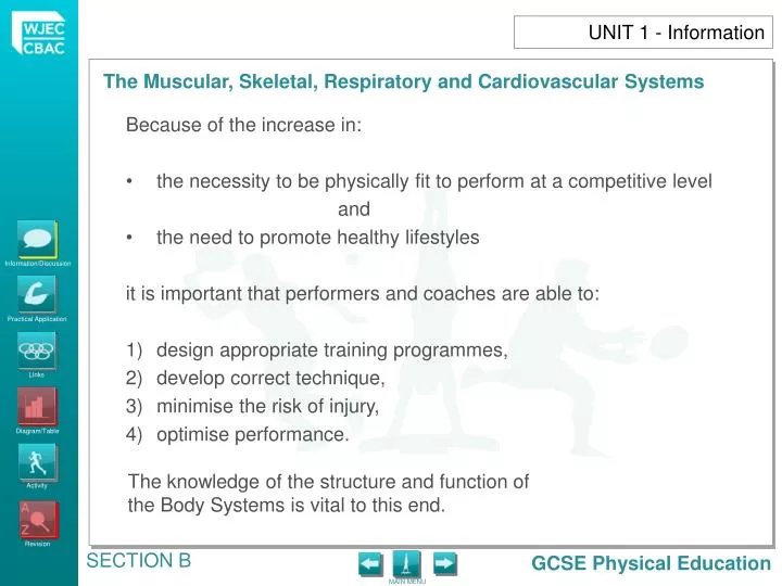 PPT - UNIT 1 - Information PowerPoint Presentation, free download - ID ...