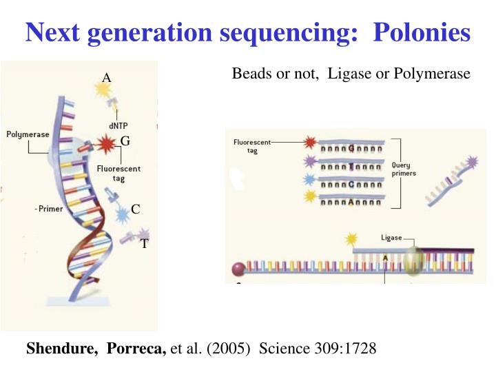 PPT - Personal Genome Project (PGP) PowerPoint Presentation - ID:4585868