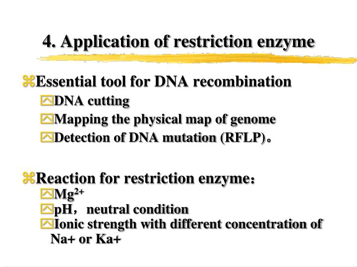 PPT - Gene engineering & Gene expression in vitro PowerPoint ...