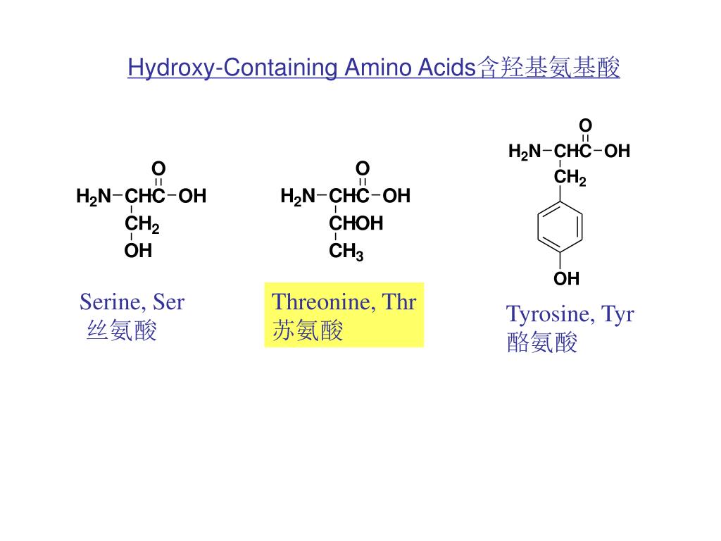 PPT - Chapter 18 Amino Acids, Peptides, and Proteins ( 氨基酸、肽、蛋白质 ...