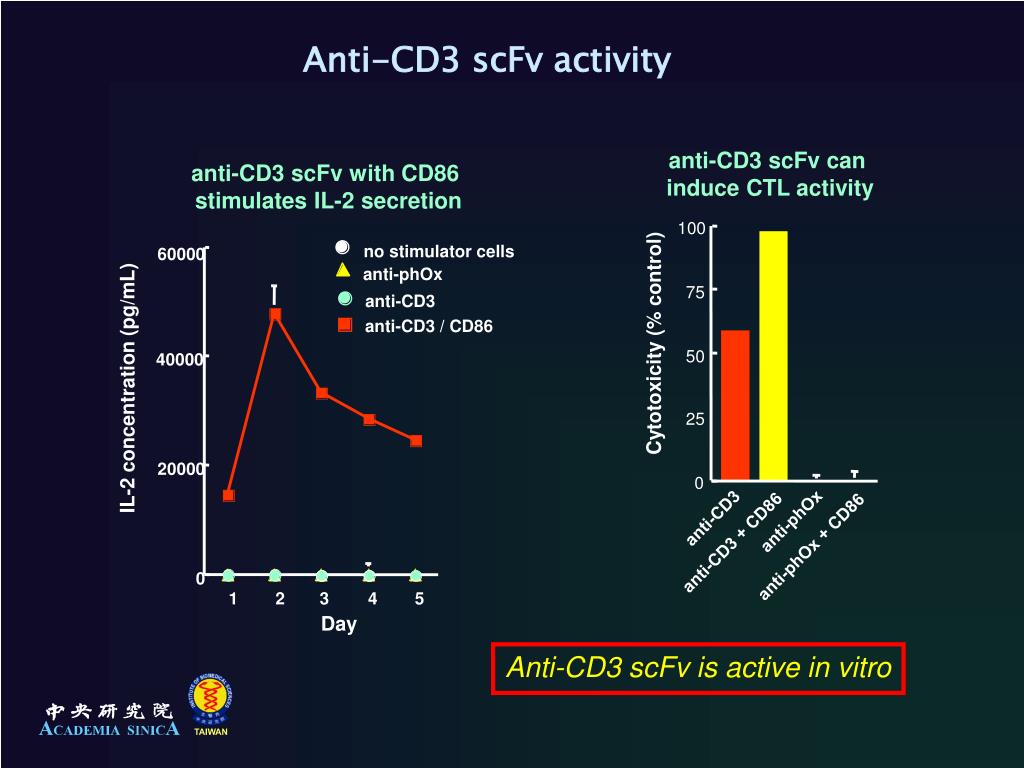 PPT - Membrane-bound antibodies for therapy and imaging PowerPoint ...