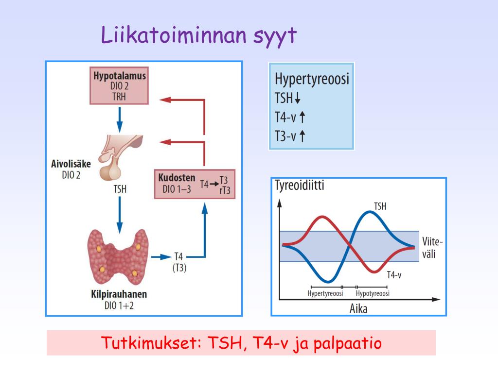 PPT - Kliinikon kokemuksia isotooppitutkimusten käytöstä PowerPoint ...