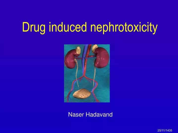 PPT - Drug induced nephrotoxicity PowerPoint Presentation, free ...