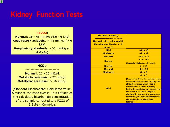 PPT - Drug induced nephrotoxicity PowerPoint Presentation - ID:4590782
