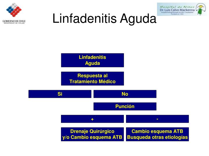 PPT - Cirugía de Lesiones benignas de la piel y sus anexos PowerPoint ...