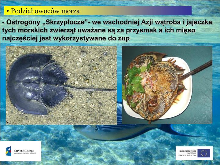PPT - Wykwintne potrawy z ryb i owoców morza PowerPoint Presentation ...