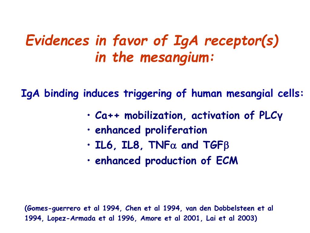 PPT - PHYSIOPATHOLOGIE DES NEPHROPATHIES A DEPOTS D’IgA PowerPoint ...