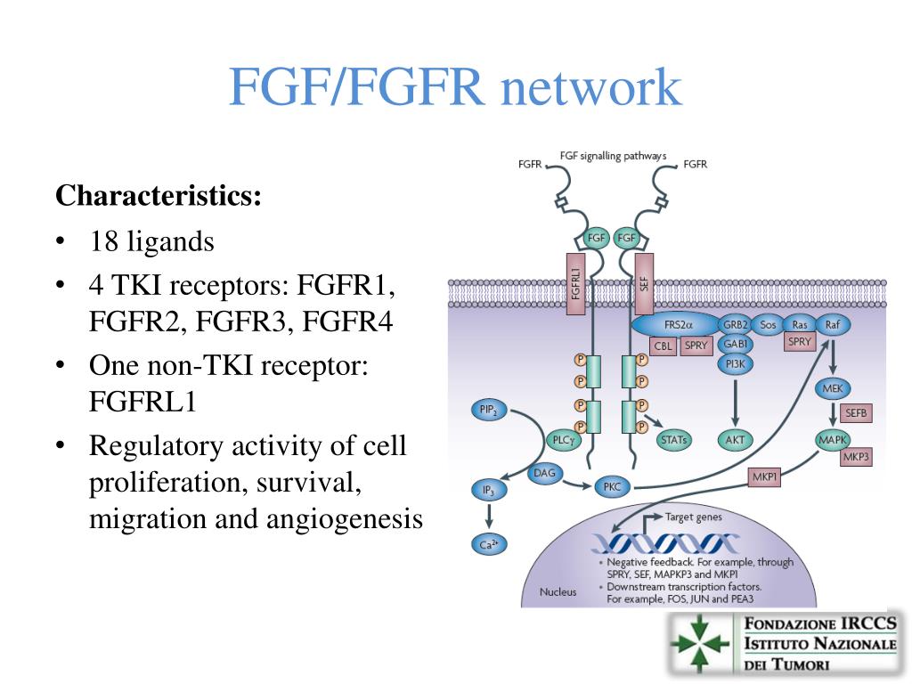 PPT - Terapia antiangiogenica oltre i farmaci anti-VEGF PowerPoint Presentation - ID:4592715