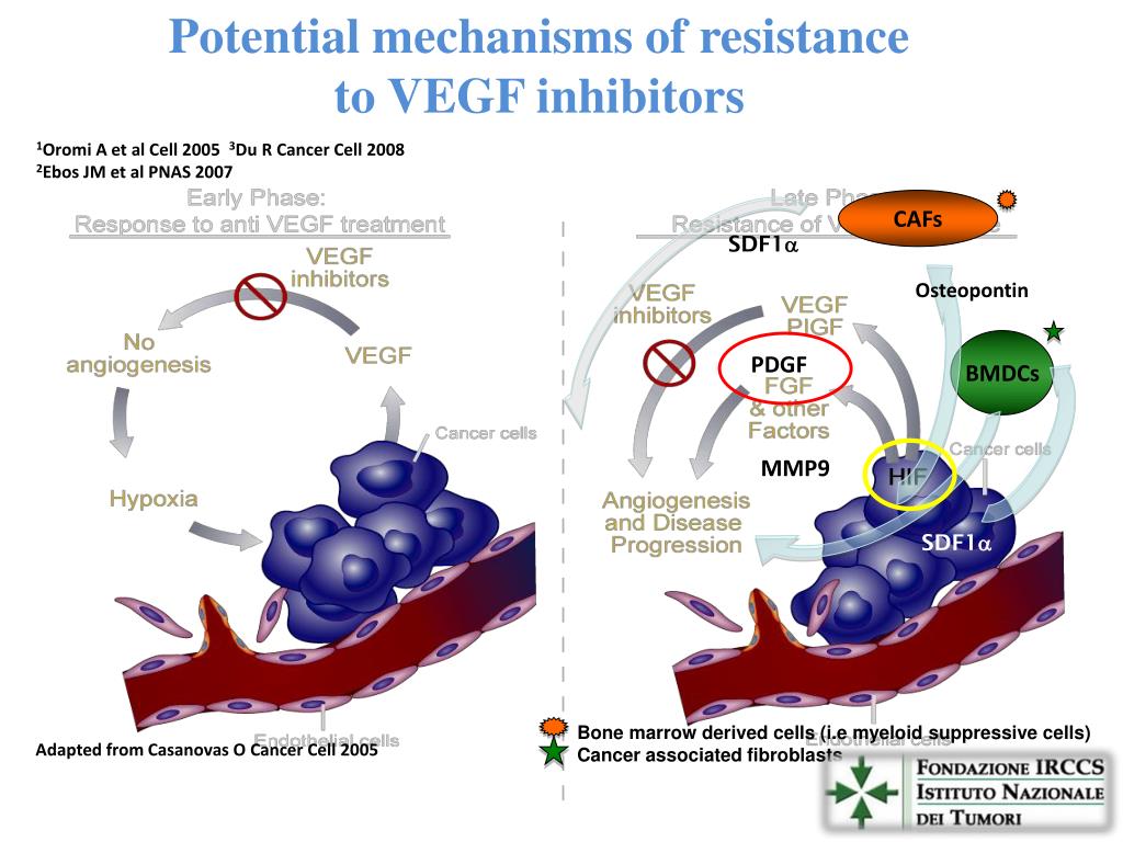 PPT - Terapia antiangiogenica oltre i farmaci anti-VEGF PowerPoint ...