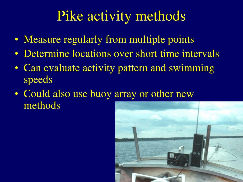 PPT - A field energy budget for northern pike, an aquatic piscivore ...
