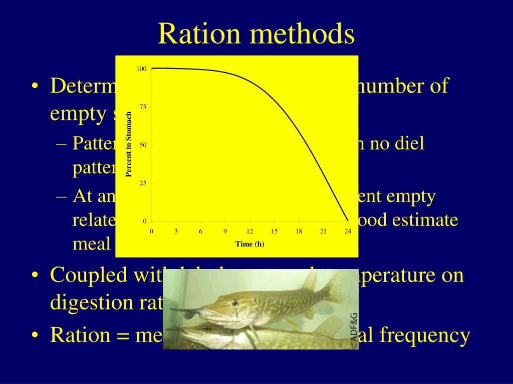 PPT - A field energy budget for northern pike, an aquatic piscivore ...