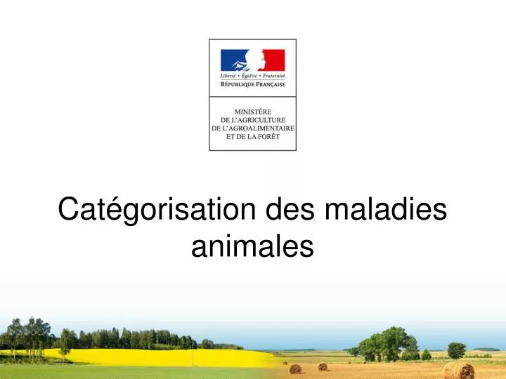 PPT - Catégorisation des maladies animales PowerPoint Presentation, free download - ID:4594782