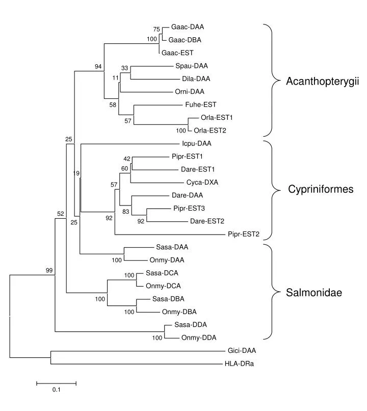 PPT - Gaac-DAA PowerPoint Presentation, free download - ID:4594832