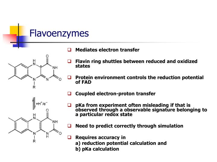 PPT - Calculation of Reduction Potential of FAD in MCAD using Combined ...