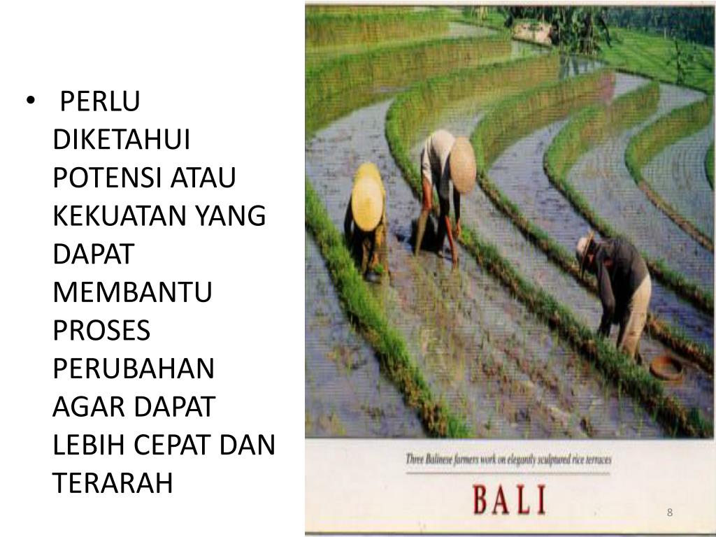 PPT - Pemberdayaan Masyarakat Melalui Pengembangan UKBM PowerPoint Presentation - ID:4597230