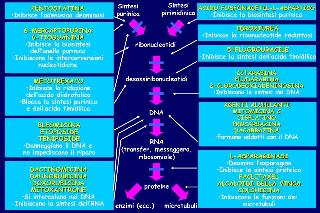 PPT - Dr. Massimo Sansone Farmacia – I.F.O. Roma,16 maggio 2006 ...