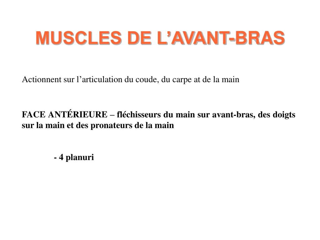 PPT - UIC I – Cours 2 Anatomie NOTIONS DE MYOLOGIE PowerPoint ...