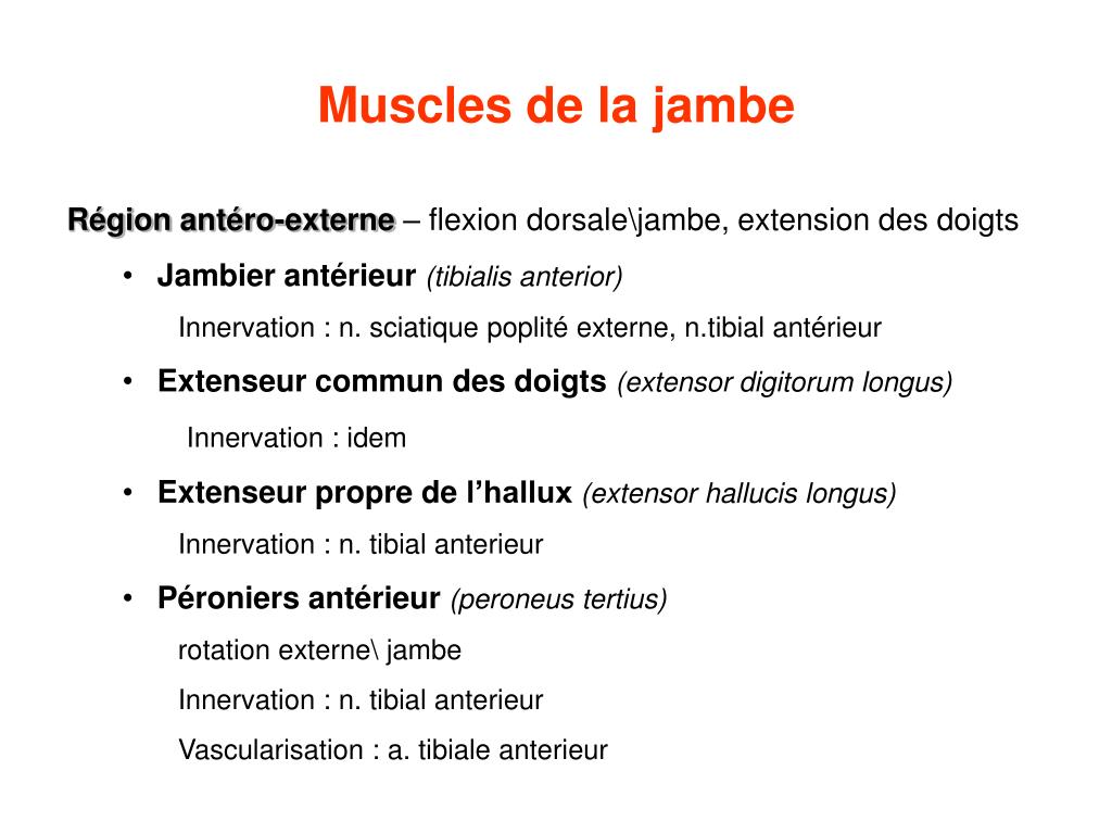 PPT - UIC I – Cours 2 Anatomie NOTIONS DE MYOLOGIE PowerPoint ...