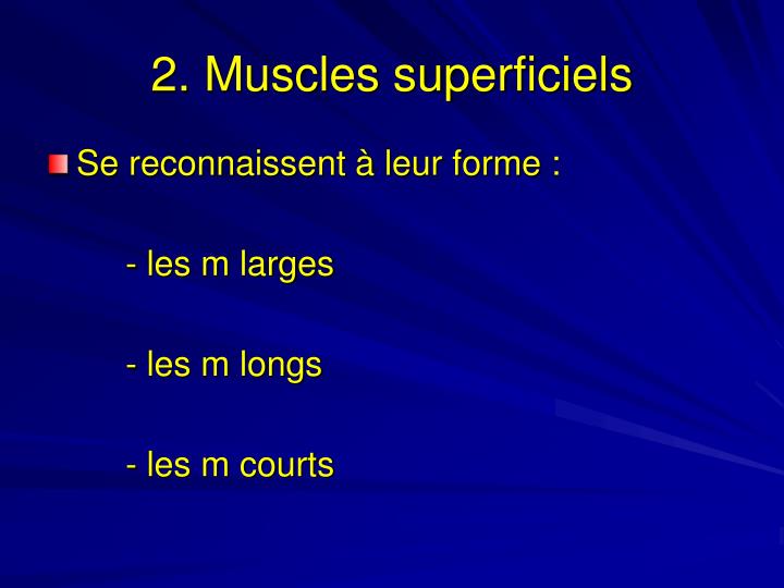 PPT - MORPHOLOGIE PowerPoint Presentation - ID:4599113