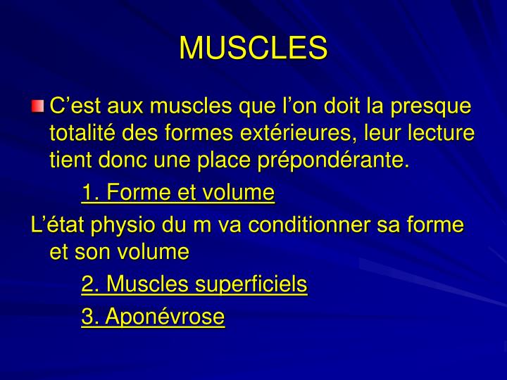 PPT - MORPHOLOGIE PowerPoint Presentation - ID:4599113