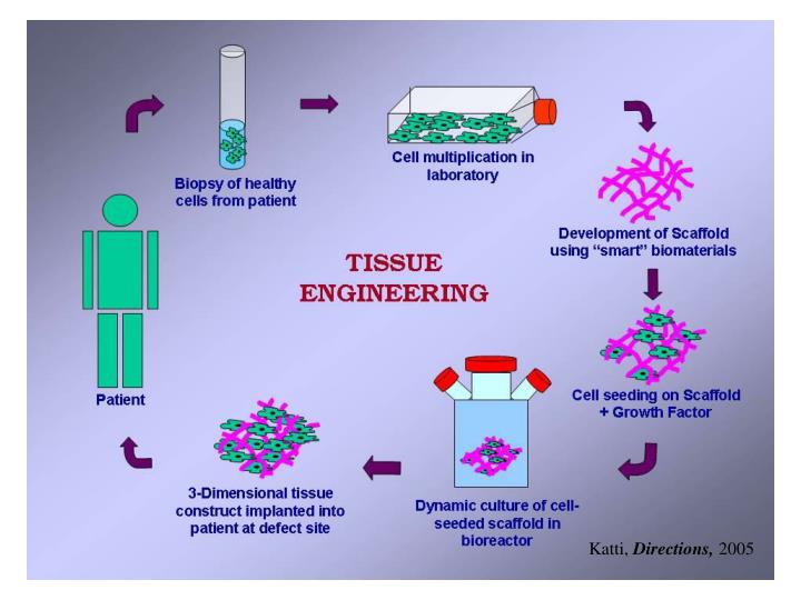PPT - Synthesis of artificial tissue: A nanofiber-based biomimetic ...