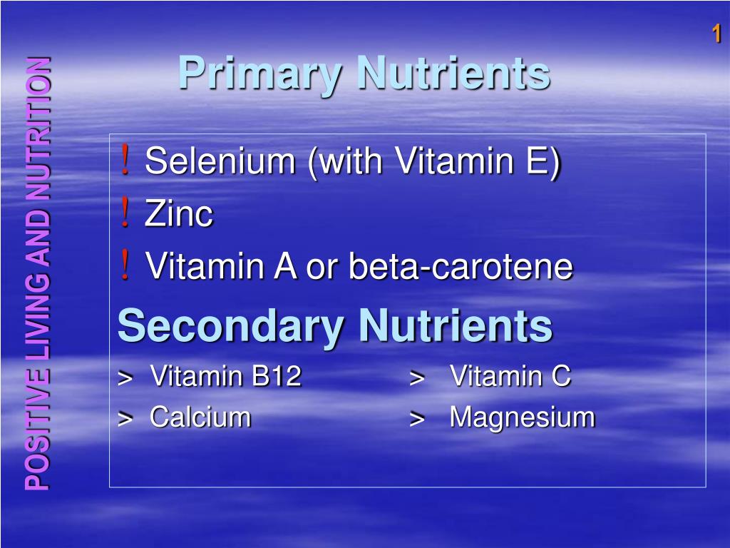 PPT - BEYOND HOMESTEAD GARDENS Presented by: Ntsie Edwin Tlale ...