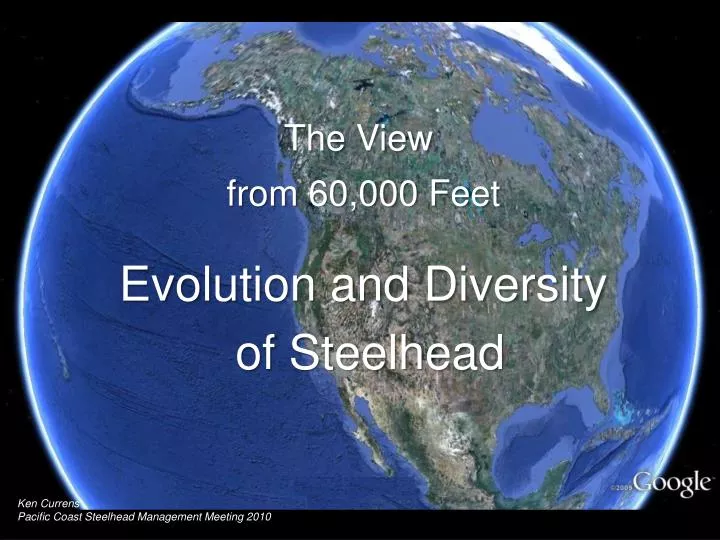 PPT - The View from 60,000 Feet PowerPoint Presentation, free download ...