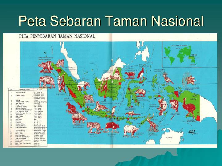 PPT - Pengembangan Wisata Alam di Kawasan Hutan PowerPoint Presentation ...