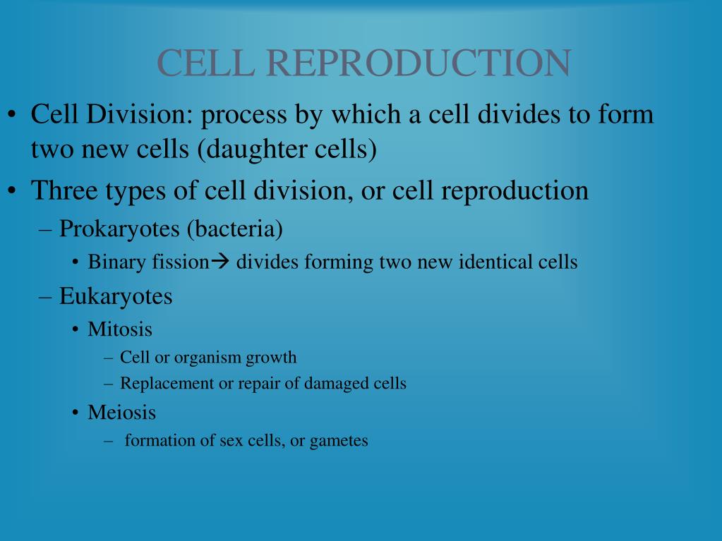 Ppt Cell Reproduction Powerpoint Presentation Free Download Id 4601437